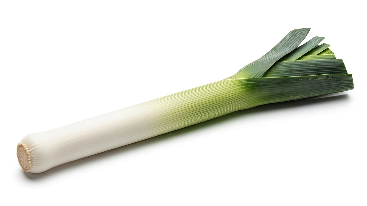 Download Leek, Vegetable, Isolated. Royalty-Free Stock Illustration ...