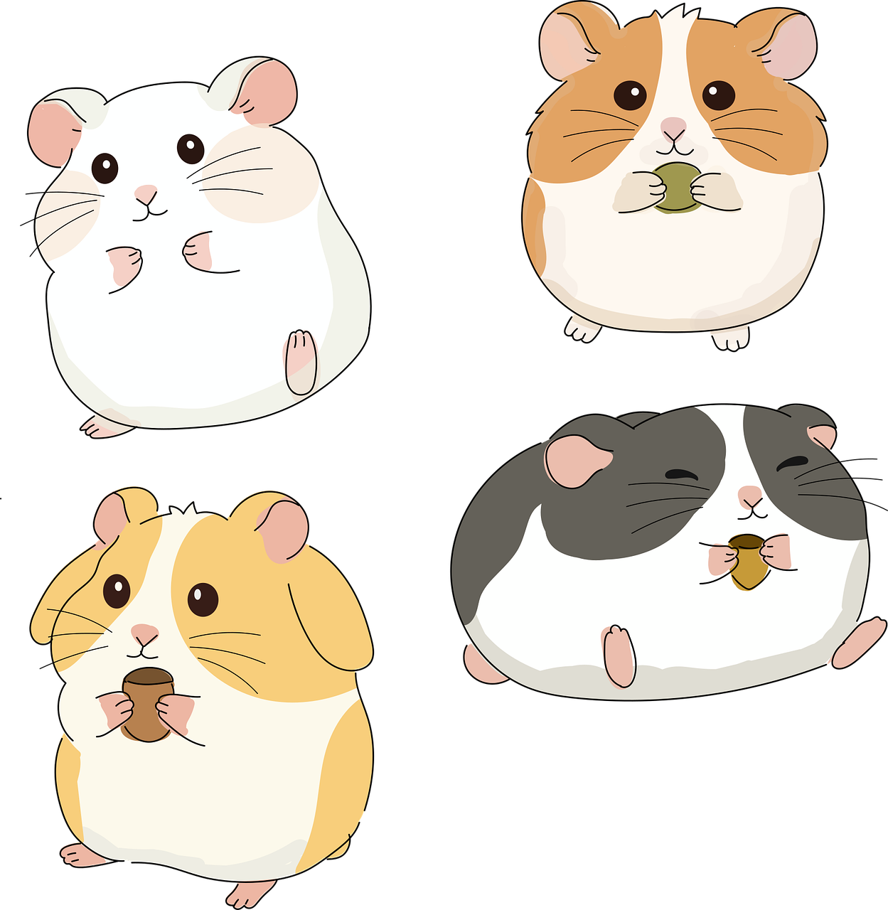 20,000+ Free Hamster Cartoon & Hamster Images - Pixabay