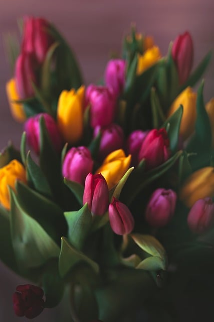 Flowers Spring Bouquet Still - Free photo on Pixabay