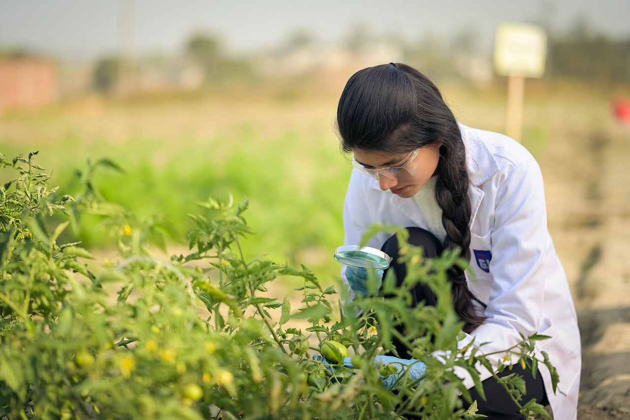 Agriculture Research Student - Free photo on Pixabay