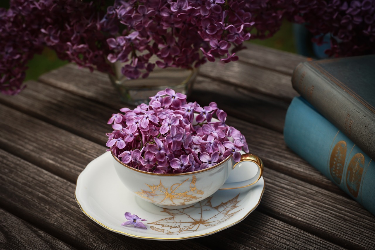 Spring Lilac Nature - Free photo on Pixabay