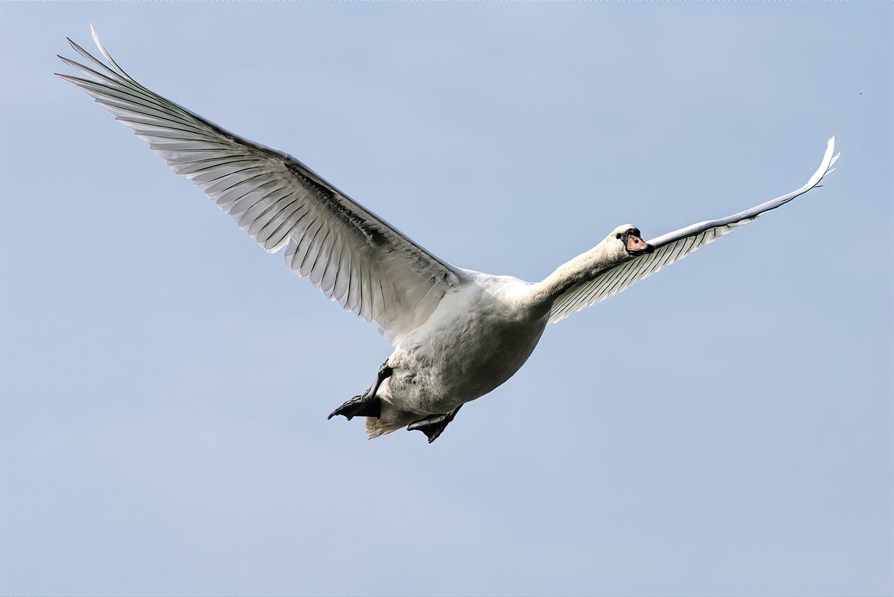 7,000+ Free Clear & Nature Images - Pixabay