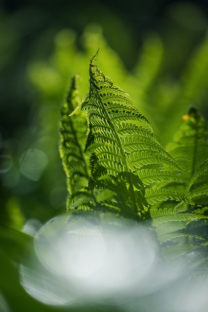 Discover and download free images - Pixabay