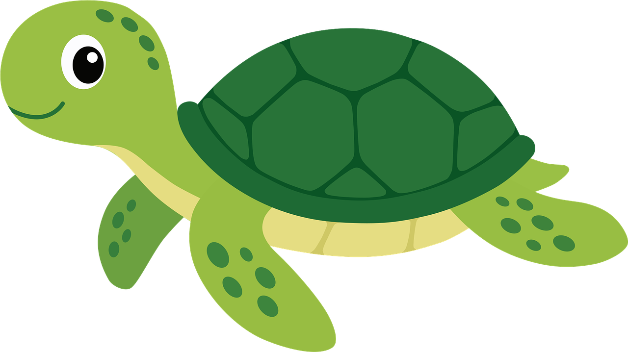 30,000+ Free Cute Turtle & Turtle Images - Pixabay