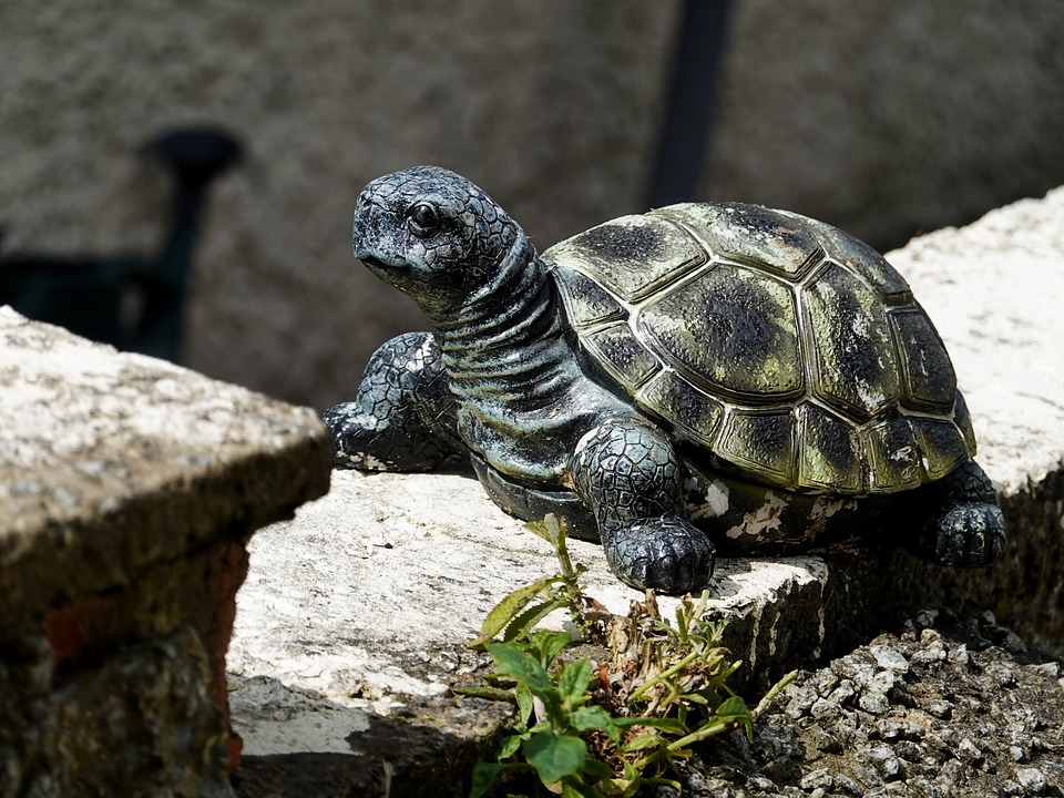 Statue Tortoise Garden - Free photo on Pixabay