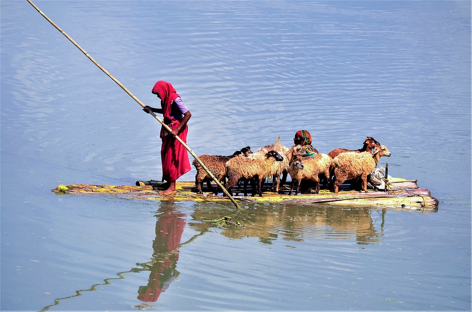 Sailing Raft Sheep - Free photo on Pixabay