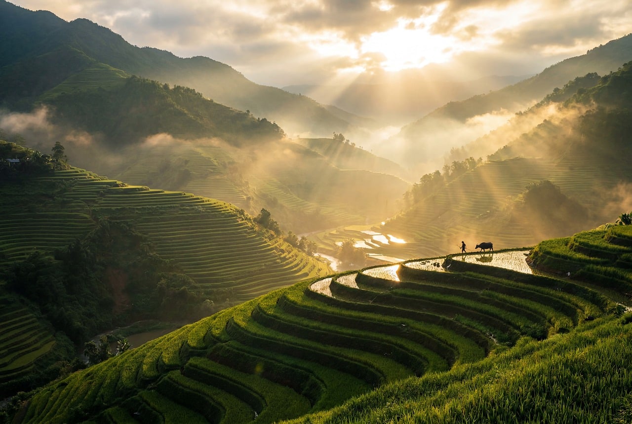 Explore 1+ Free Ifugao Illustrations: Download Now - Pixabay