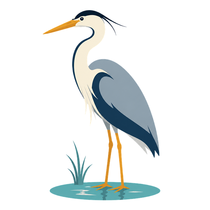 Download Heron, Bird, Water Bird. Royalty-Free Vector Graphic - Pixabay