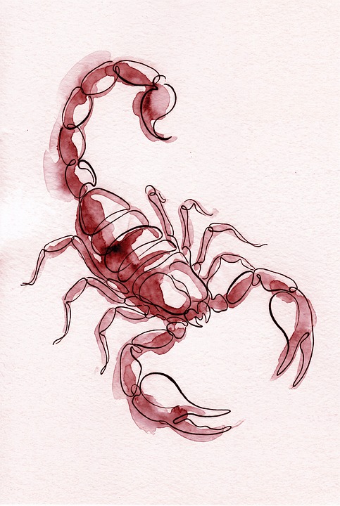 Download Scorpion, Drawing, Watercolor. Royalty-Free Stock Illustration ...