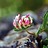 Amanecer Sol Campo - Foto gratis en Pixabay