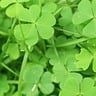50,000+ Free Unique Wallpaper & Unique Images - Pixabay