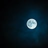 30,000+ Free Life & Nature Images - Pixabay