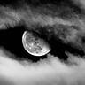 10,000+ Free Sad Pose & Sad Images - Pixabay