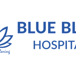 BlueBlissHospital - Pixabay