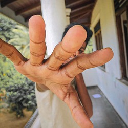 Dhayara_Deekshana_photogr - Pixabay