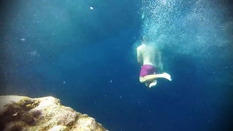 Diving, Snorkeling, Underwater. Free Stock Video - Pixabay