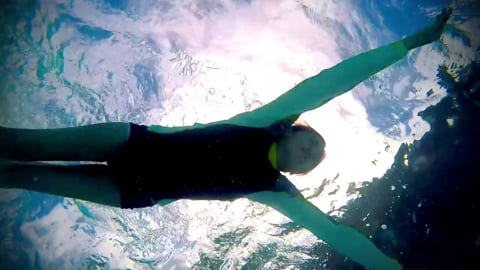 Swim, Dive, Snorkeling. Free Stock Video - Pixabay
