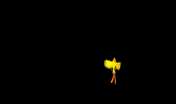 Bird, Exotic, Cartoon. Free Stock Video - Pixabay