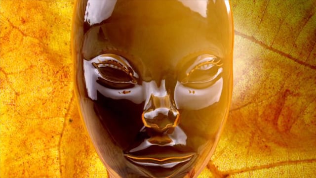Human, Head, Glass. Free Stock Video - Pixabay