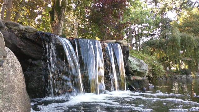 Waterfall, Outdoor, Water. Free Stock Video - Pixabay