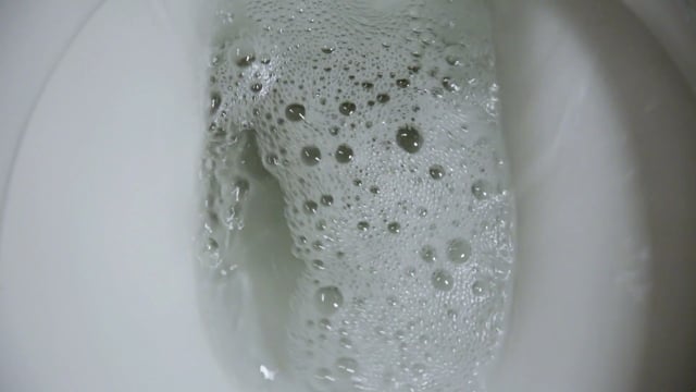 Toilet, Wc, Loo. Free Stock Video - Pixabay