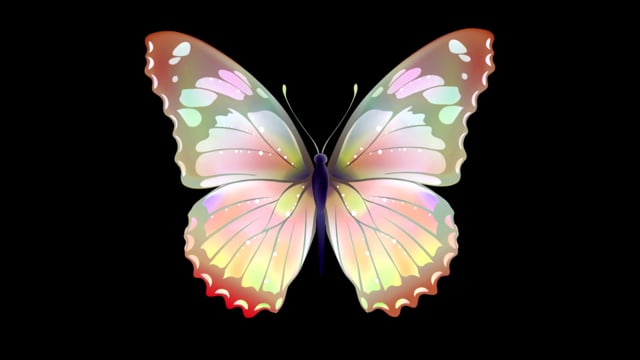 Butterfly Flapping Wings Moving Free Stock Video Pixabay