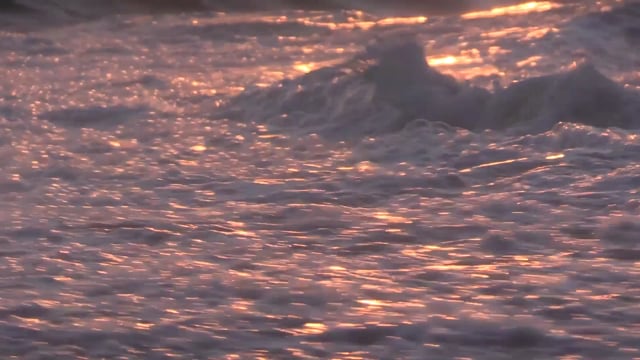 Mais de 6.000 vídeos grátis em HD e 4K de Mar e Oceano - Pixabay