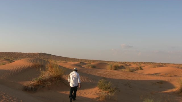 Sahara Desert Videos: Download 31+ Free 4K & HD Stock Footage Clips ...