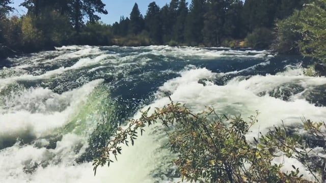 Stream, Rapids, River. Free Stock Video - Pixabay