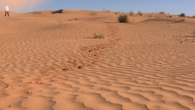Sahara Desert Videos: Download 424+ Free 4K & HD Stock Footage Clips ...
