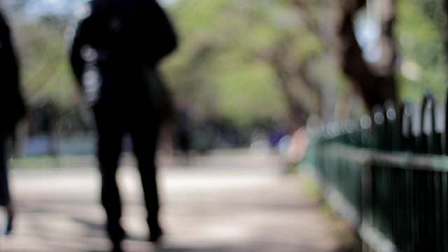 People Walking In Park Videos: Download 6,504+ Free 4K & HD Stock ...