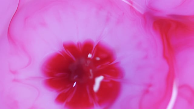 Pink, Ink, Drop. Free Stock Video - Pixabay