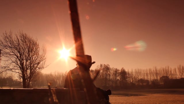 Sunrise, Cowboy, Yellow. Free Stock Video - Pixabay