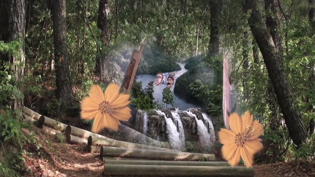 Zoom-Background Videos: Download 13,283+ Free 4K & HD Stock Footage ...