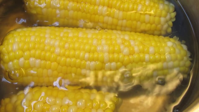 Corn, Cooking, Boil. Free Stock Video - Pixabay