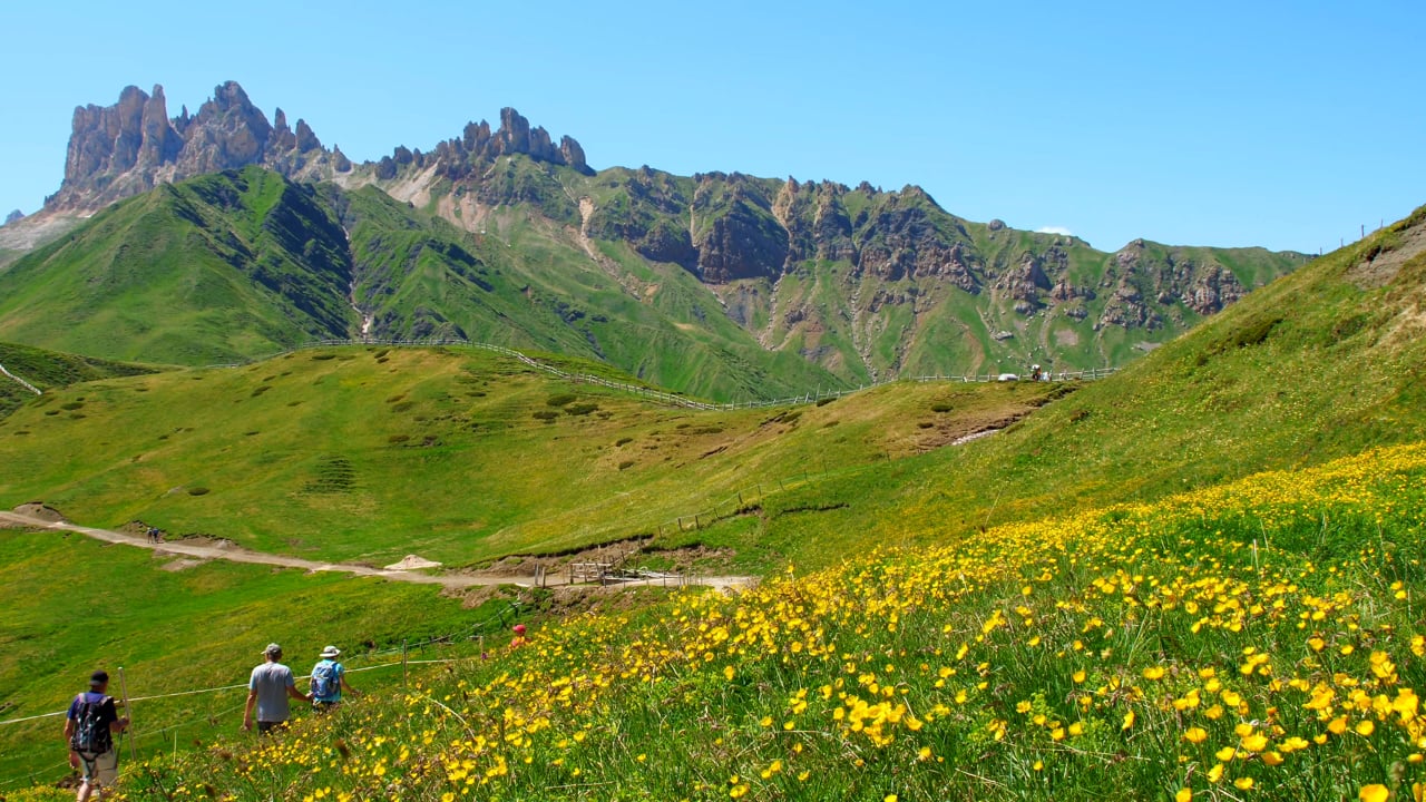 Hiking, People, Wanderer. Free Stock Video - Pixabay