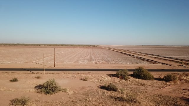 Cotton Field Videos: Download 3,881+ Free 4K & HD Stock Footage Clips ...