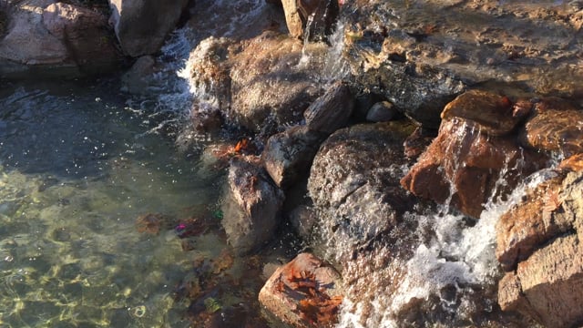 Waterfall, Water, Stream. Free Stock Video - Pixabay