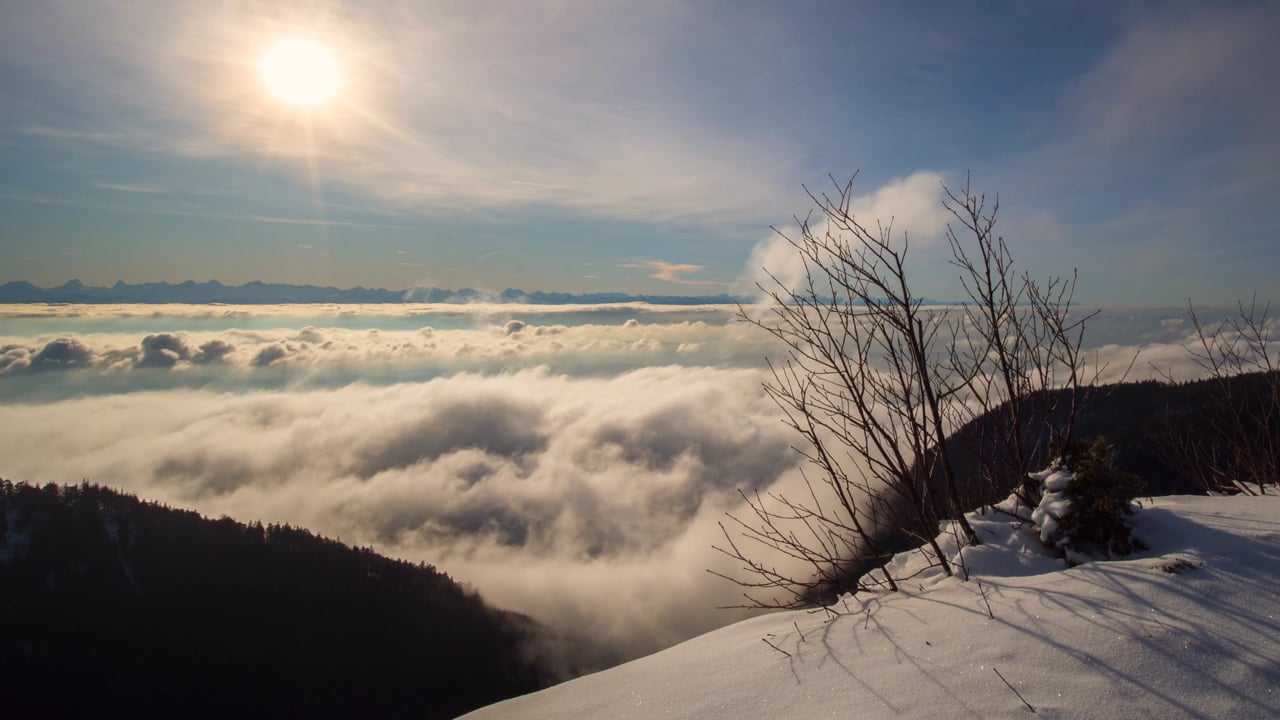Fog, Sea Of Fog, Mood. Free Stock Video - Pixabay