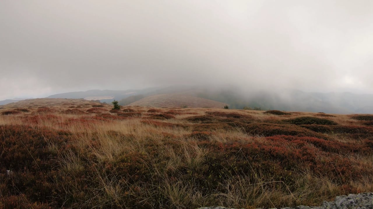 High-Altitude Beauty Videos: Download 6,522+ Free 4K & HD Stock Footage ...