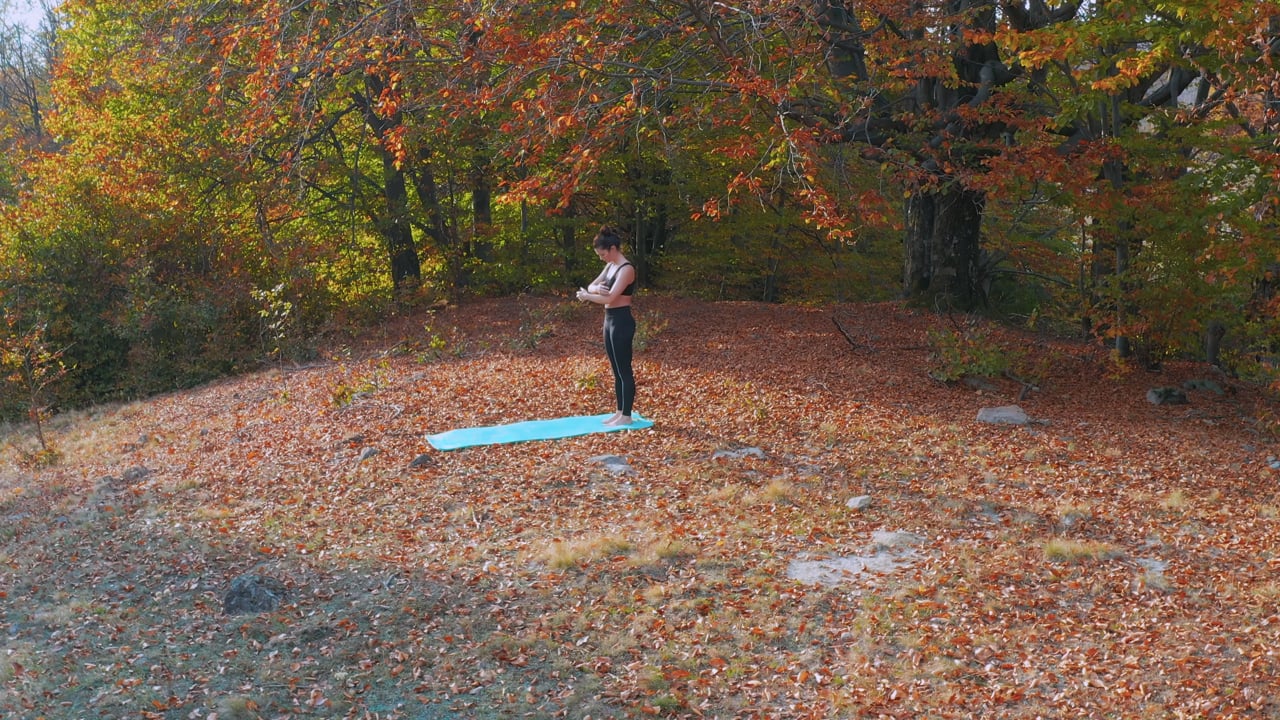 Pilates, Yoga, Nature. Free Stock Video - Pixabay