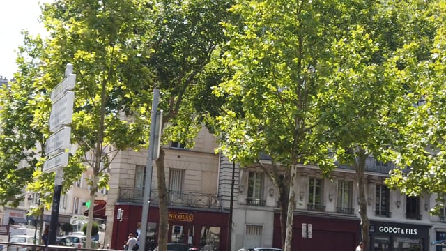 Paris, France, Street. Free Stock Video - Pixabay