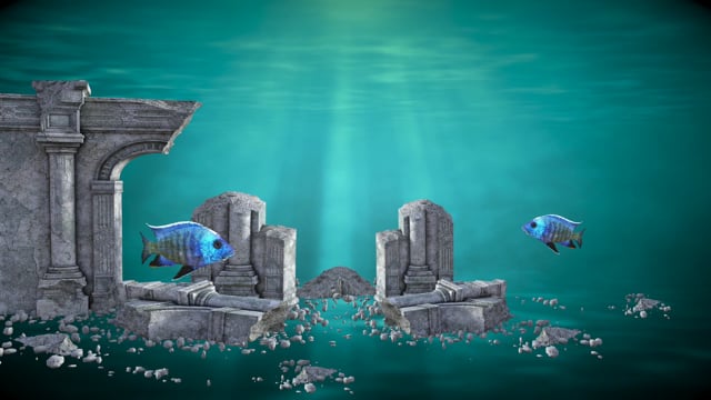 Underwater, Animation, Ruins. Free Stock Video - Pixabay