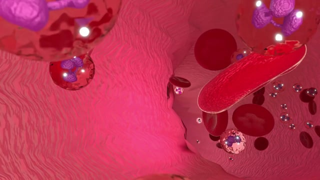 Red, Cells, White. Free Stock Video - Pixabay