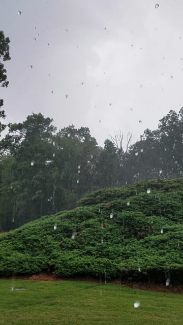 Chuva Tempestade Clima - Free video on Pixabay - Pixabay