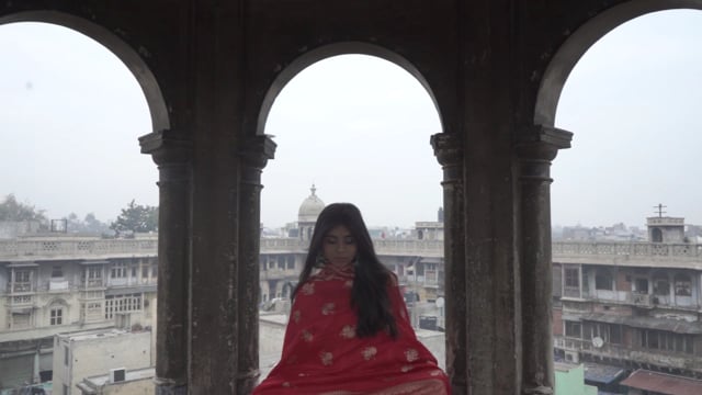 Indian, Sari, Woman. Free Stock Video - Pixabay