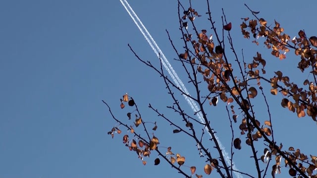 Airplane Takeoff Videos: Download 486+ Free 4K & HD Stock Footage Clips ...