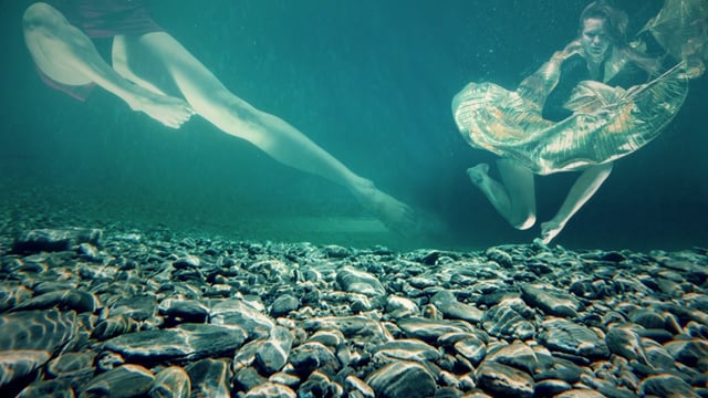 Underwater, Collage, Nature. Free Stock Video - Pixabay