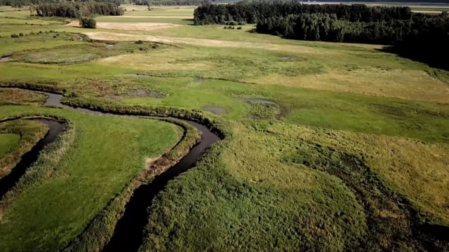 River, Landscape, Green. Free Stock Video - Pixabay