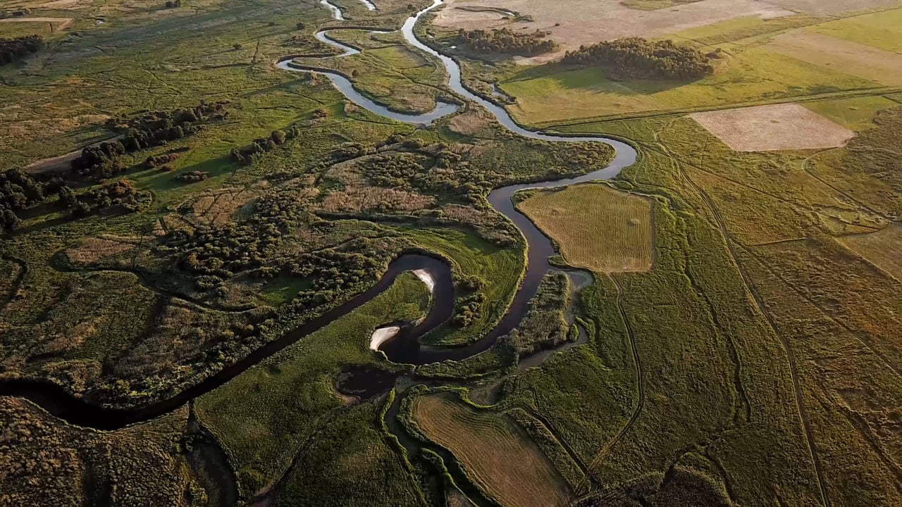 River, Nature, Landscape. Free Stock Video - Pixabay
